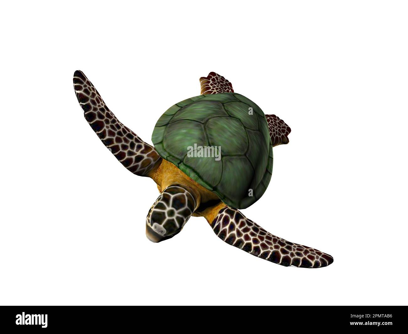 3D illustration of a great sea turtle isolated Stock Photo - Alamy