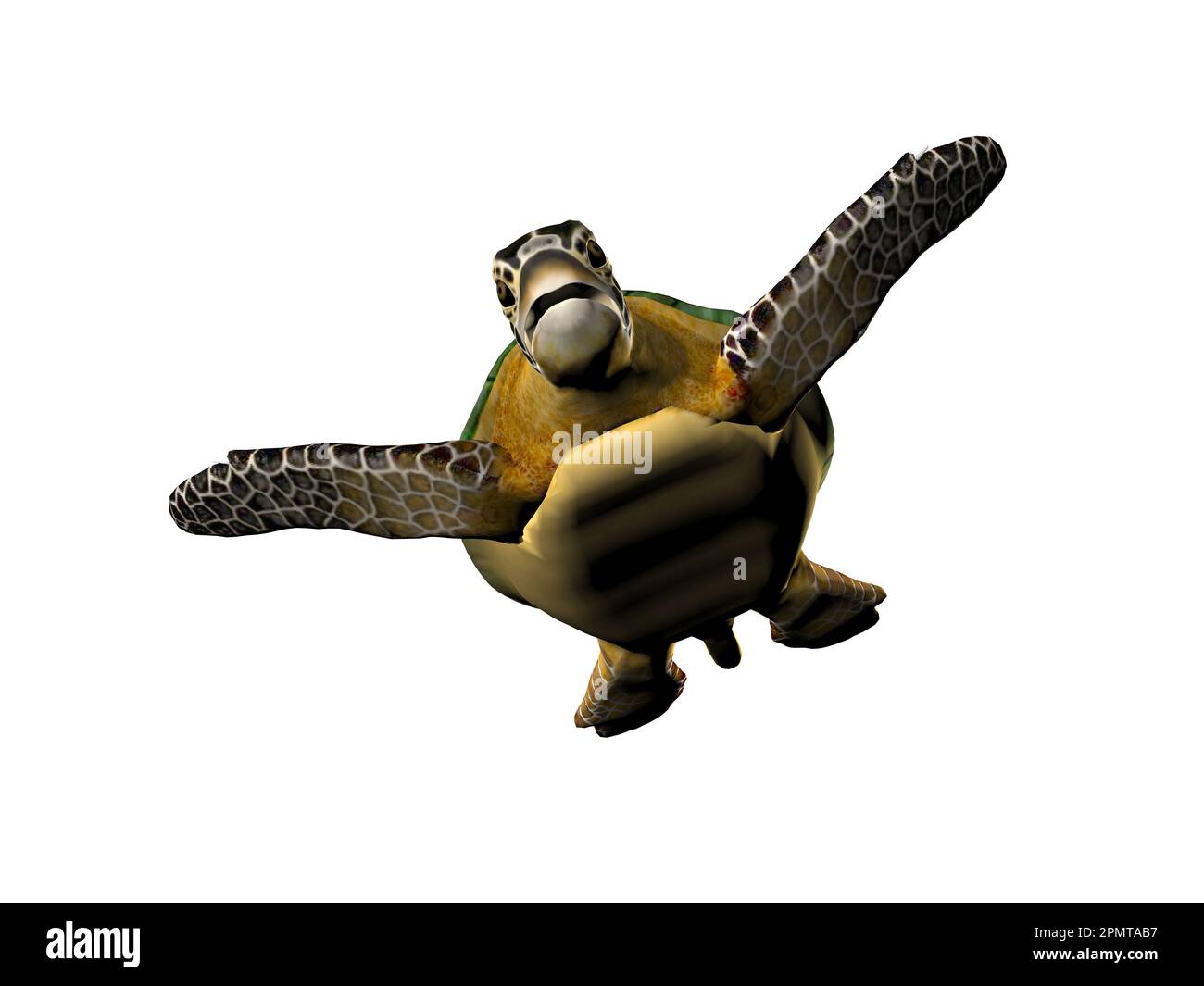 3D illustration of a great sea turtle isolated Stock Photo - Alamy