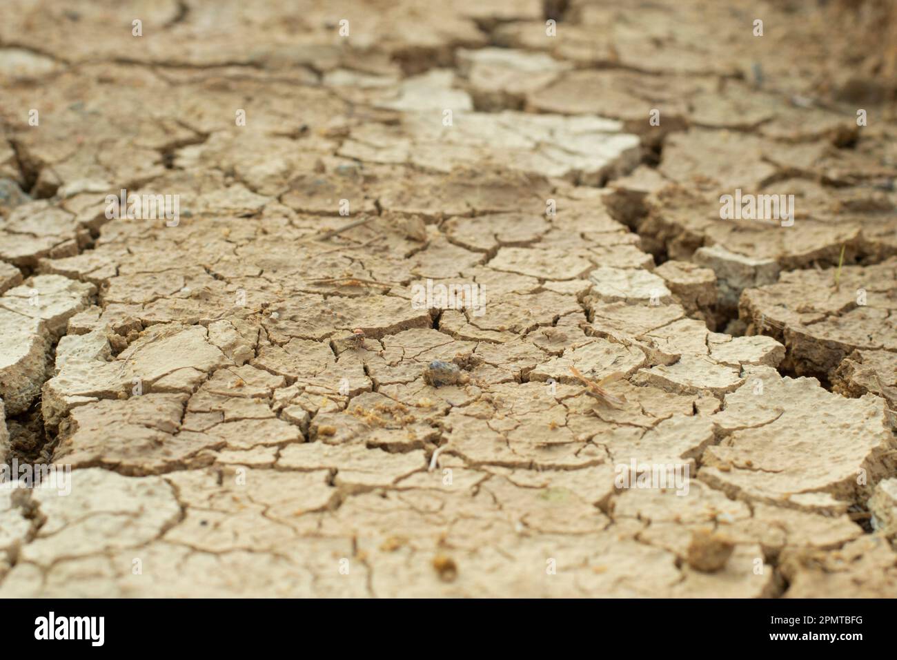 Infrared image of the earth surface soil crack due to the drought Stock ...