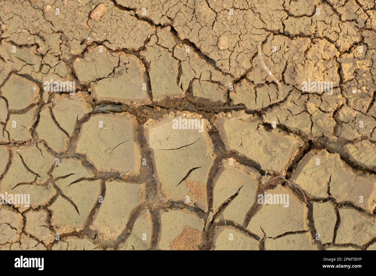 Infrared image of the earth surface soil crack due to the drought Stock ...