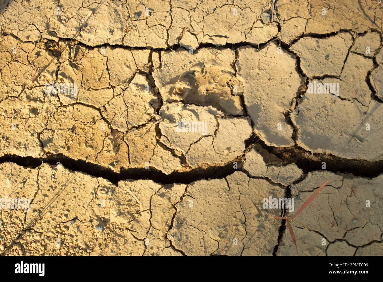 Infrared image of the earth surface soil crack due to the drought Stock ...