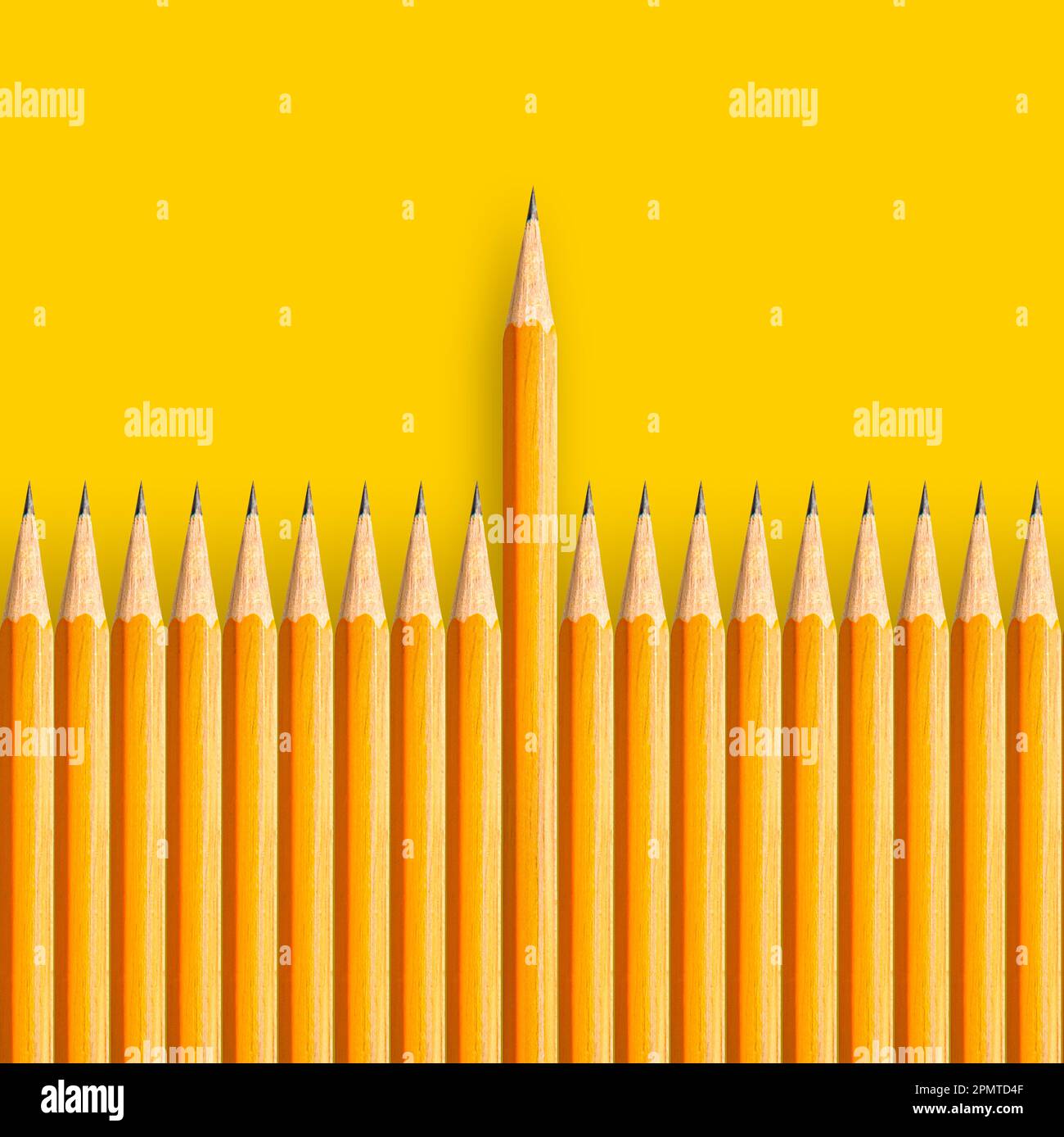 Wooden pencils with one leadership pencil, Business concept, symbol of ...