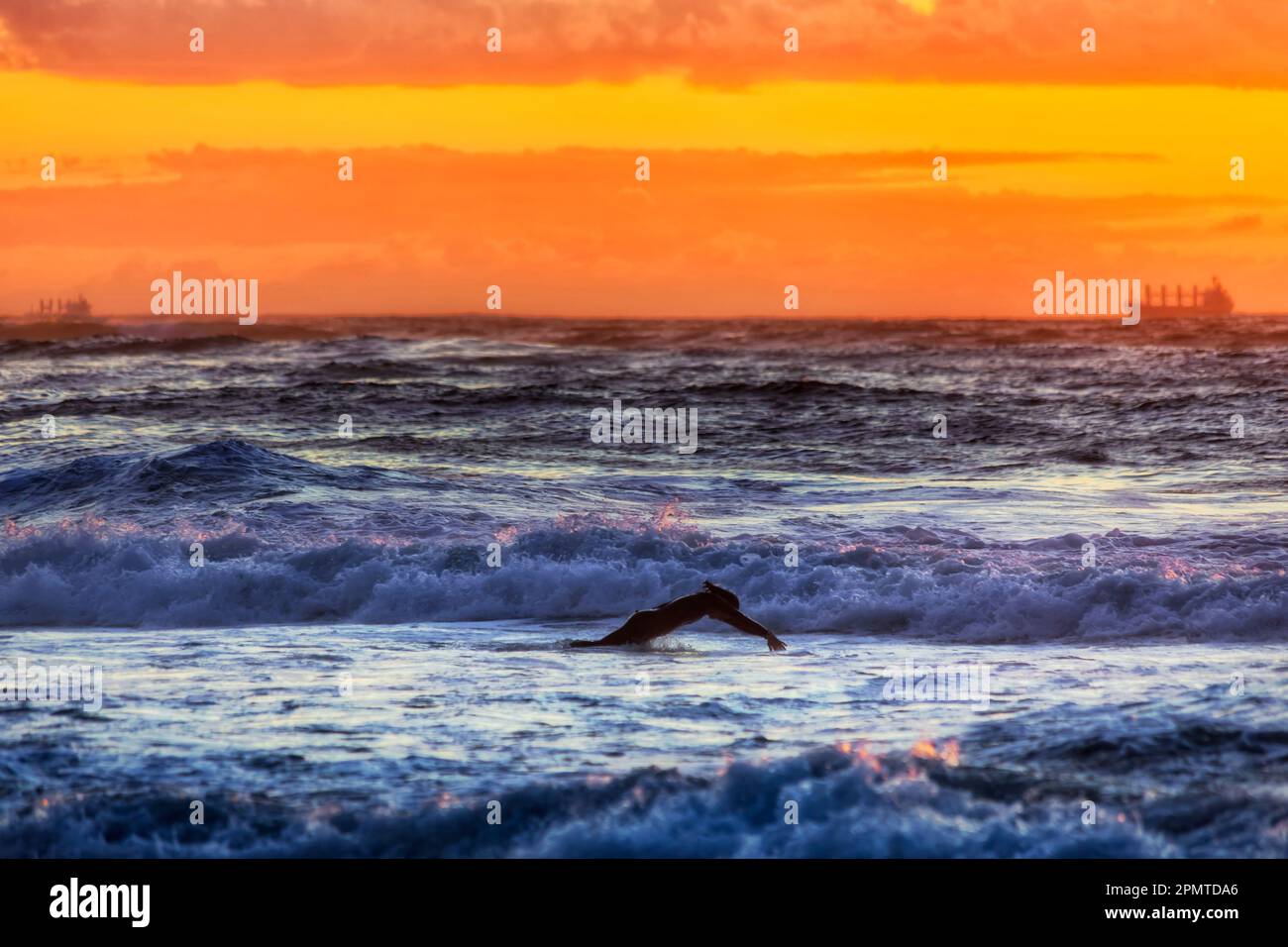Colourful yellow sky over Pacific ocean off Caves beach with swimming ...