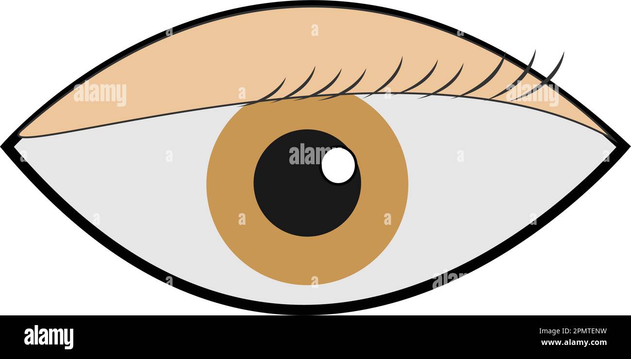 Vector icon eye Cut Out Stock Images & Pictures - Alamy