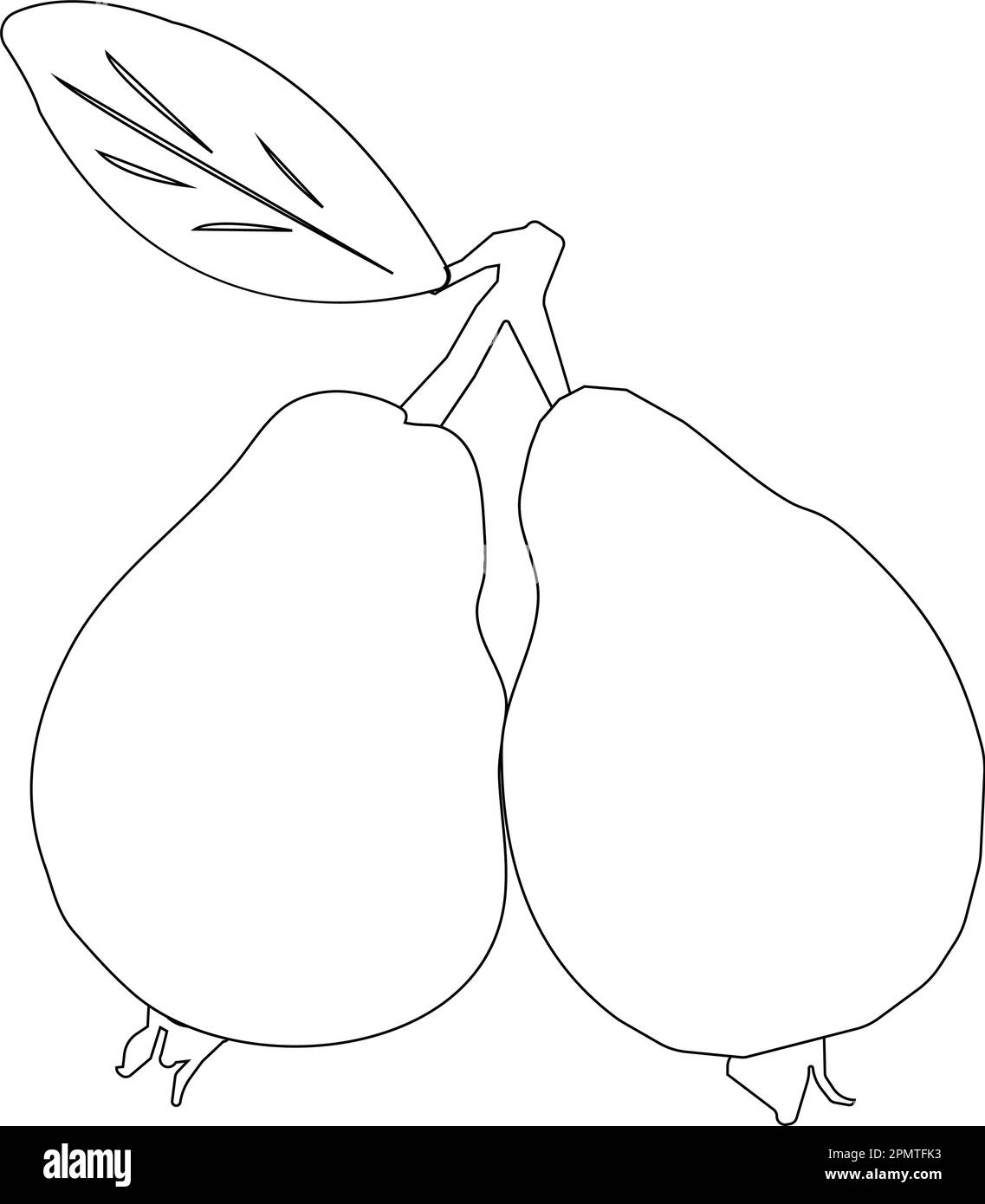 Single guava Stock Vector Images - Alamy