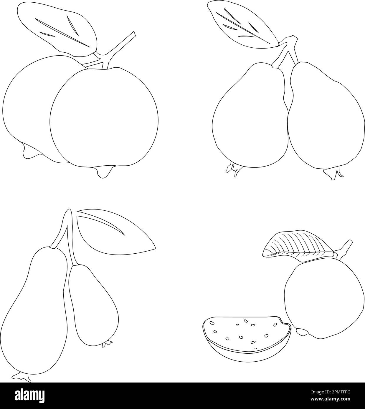 Single guava Stock Vector Images - Alamy