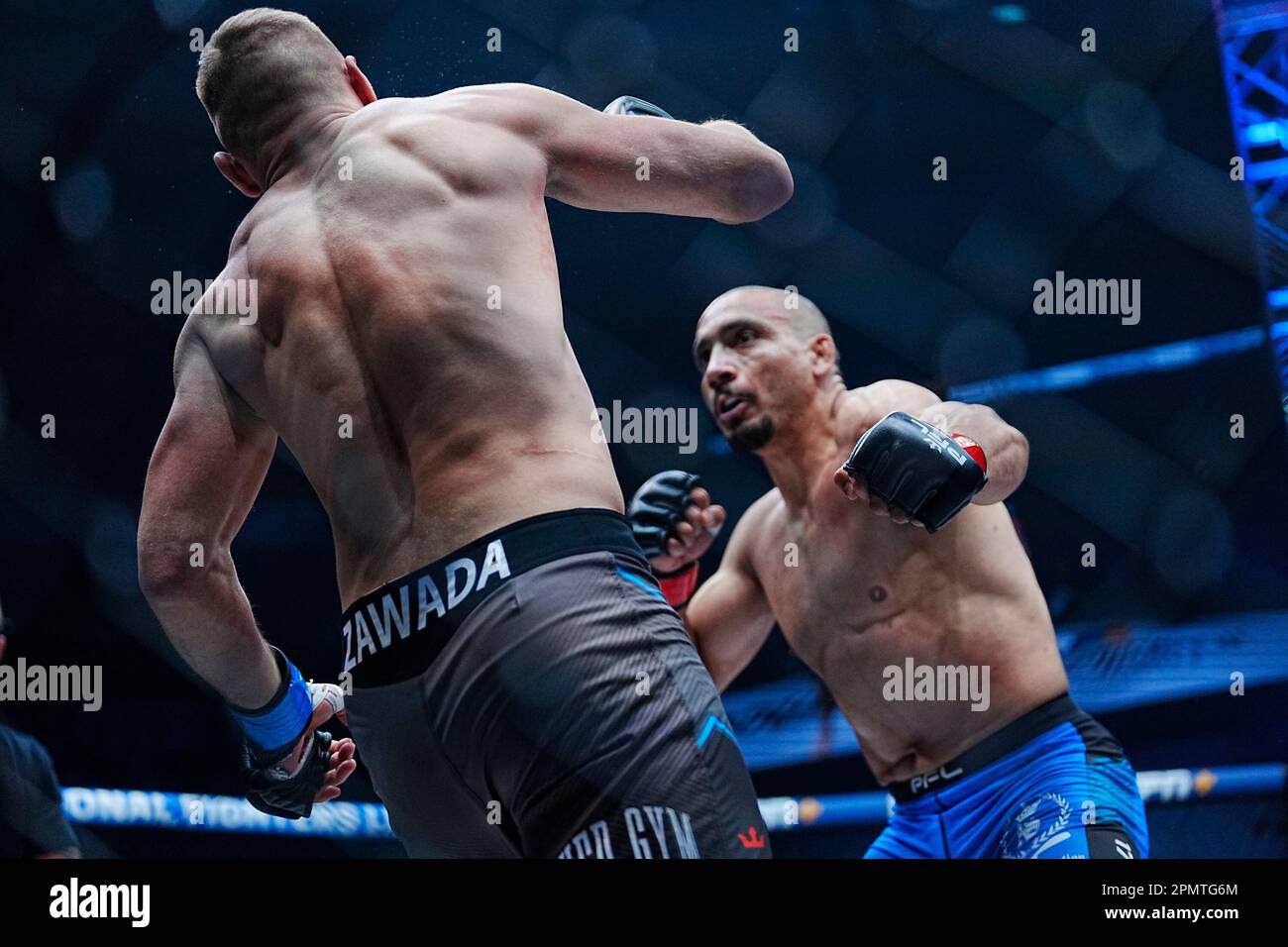 David zawada hi-res stock photography and images - Alamy