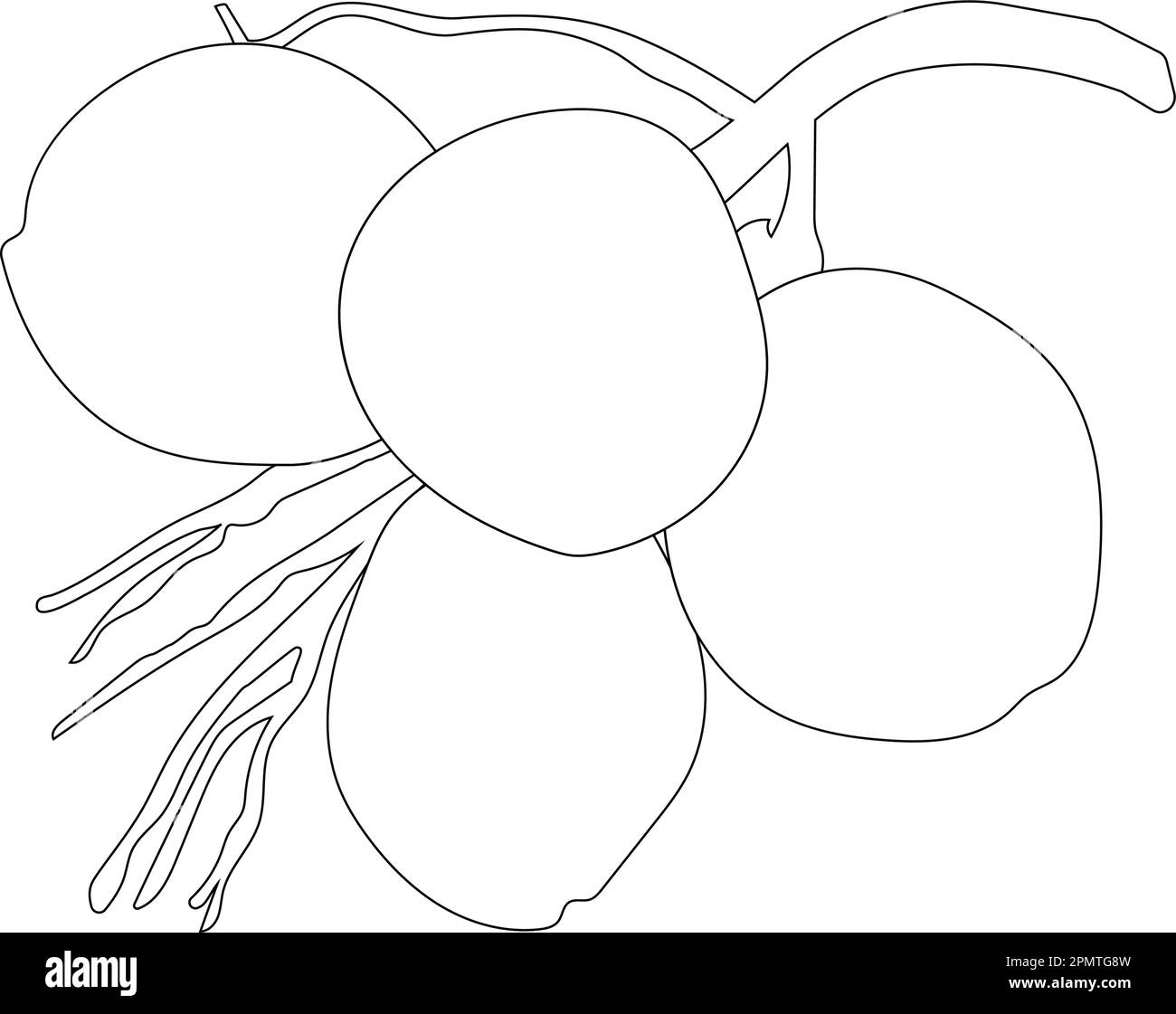 Traditional hawaii fruit Stock Vector Images - Alamy