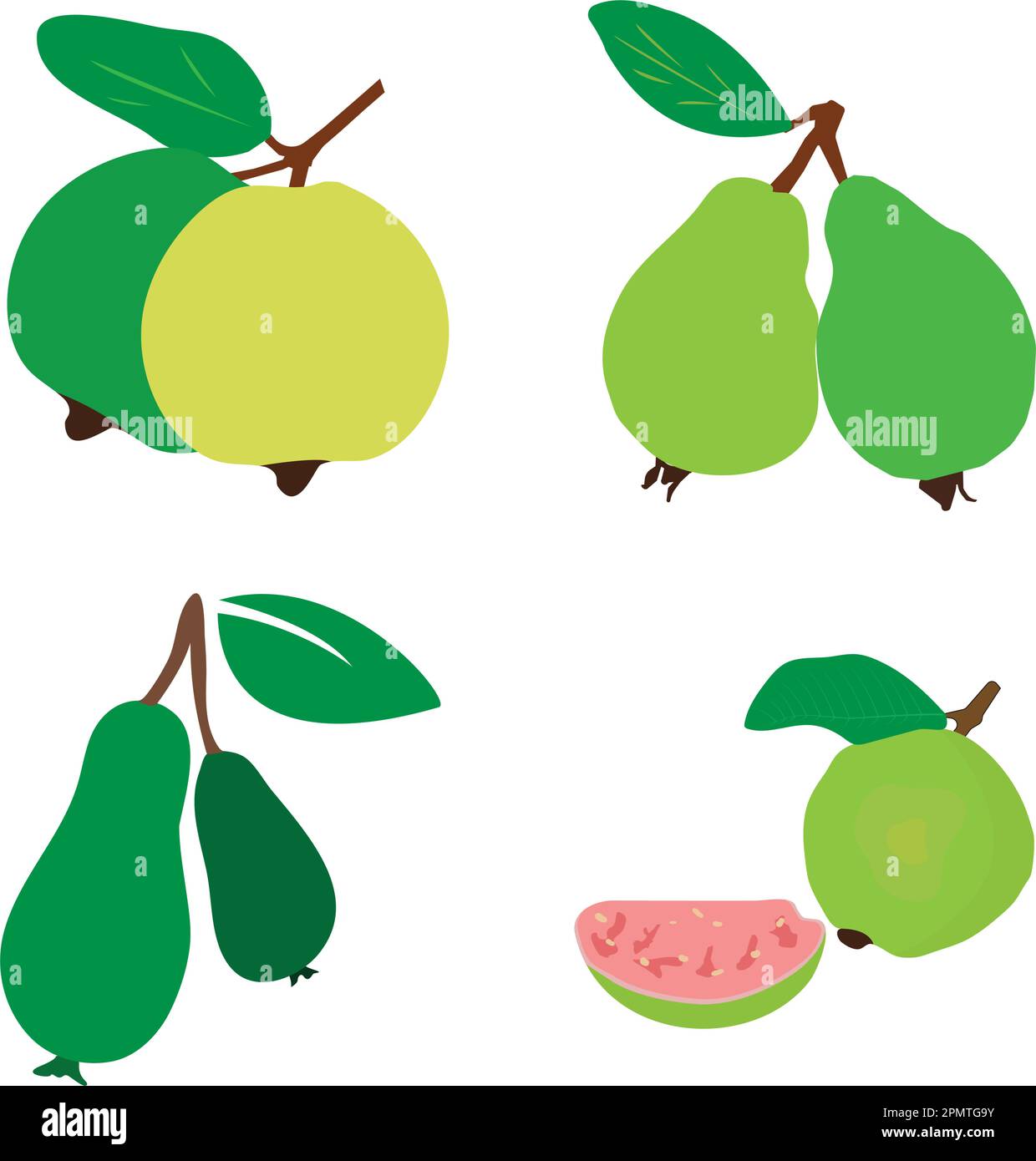 Single guava Stock Vector Images - Alamy