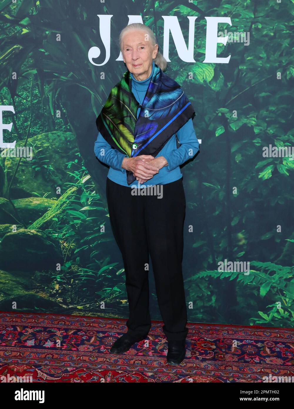 Jane Goodall Diamond Mine at Amanda Moretz blog