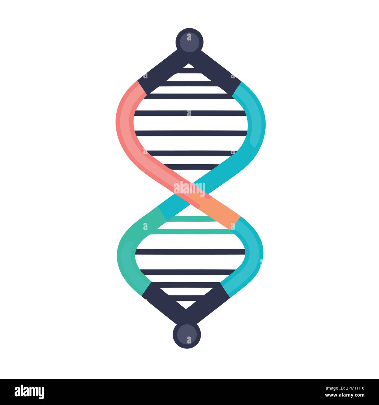 Dna Double Helix Vector