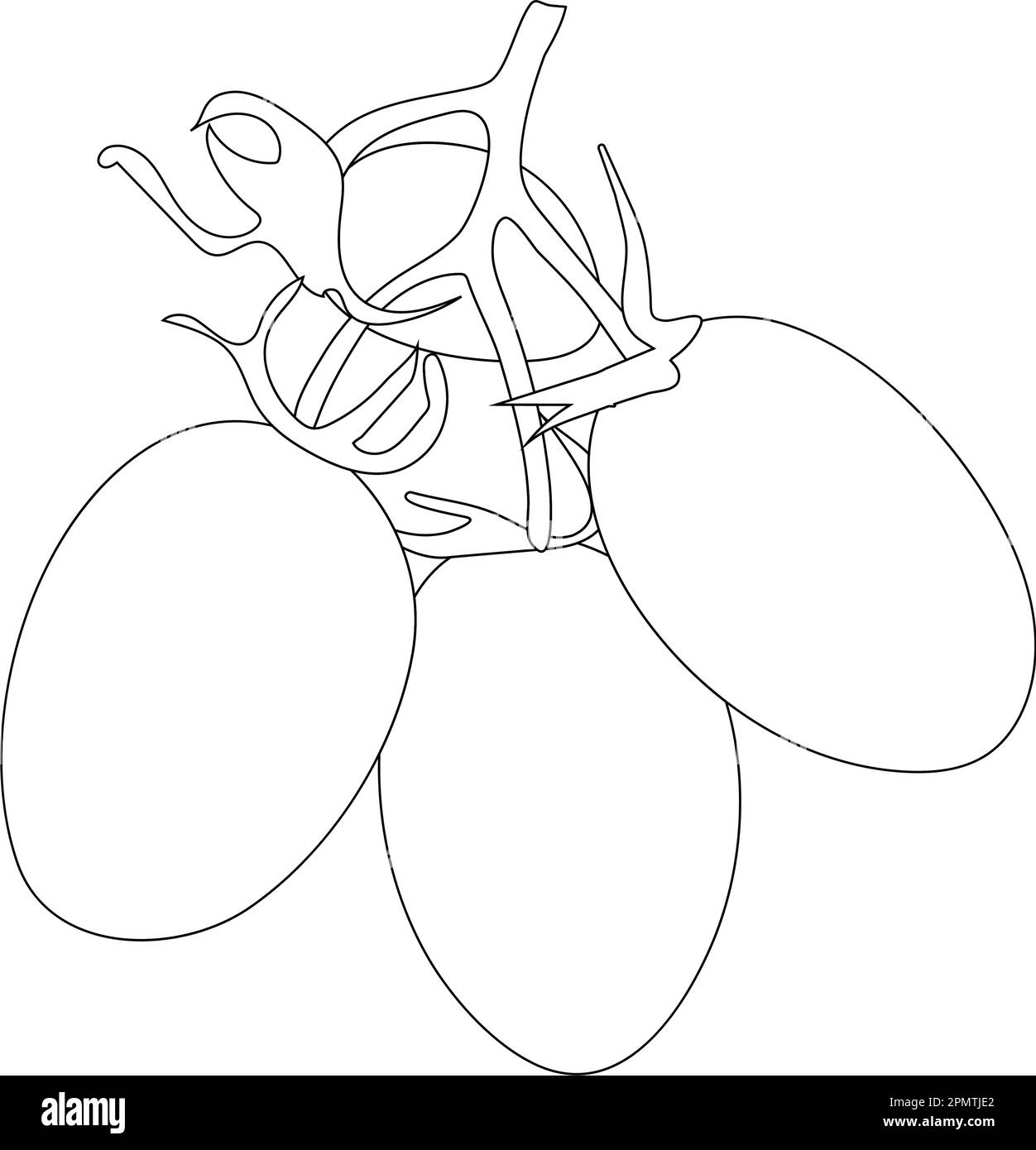 Tasty fruit salad icon Stock Vector Images - Alamy