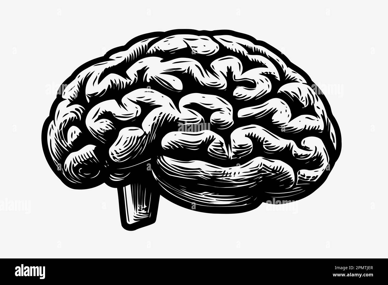 human nervous system brain organ minimalist vector illustration Stock ...