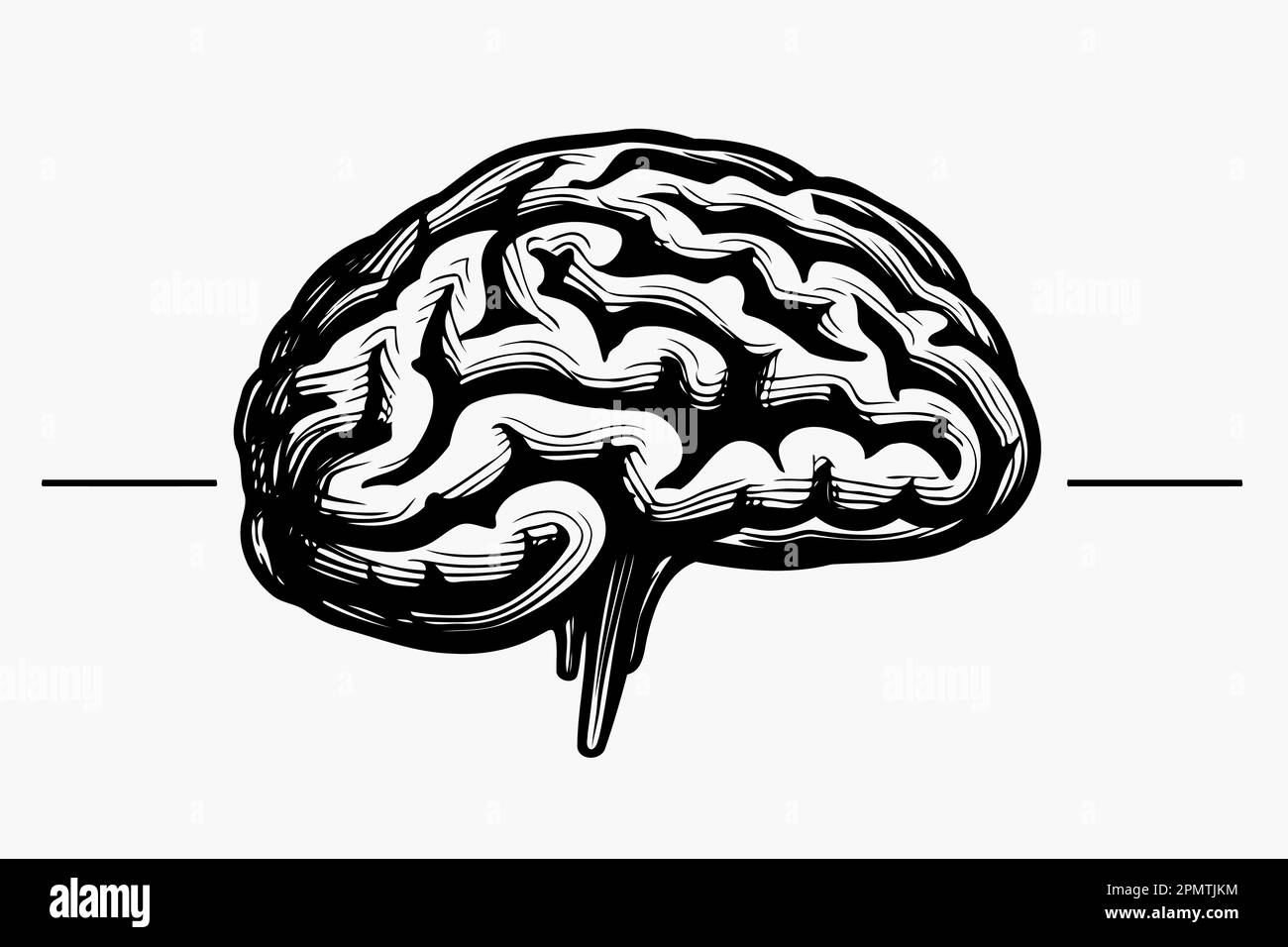 human nervous system brain organ minimalist vector illustration Stock ...