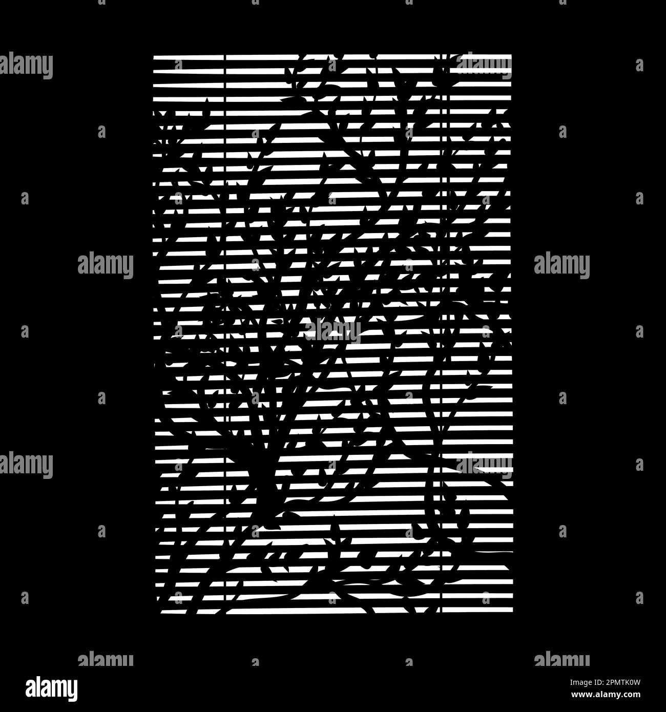 Silhouette of window, blinds and branches on black background. Gobo ...