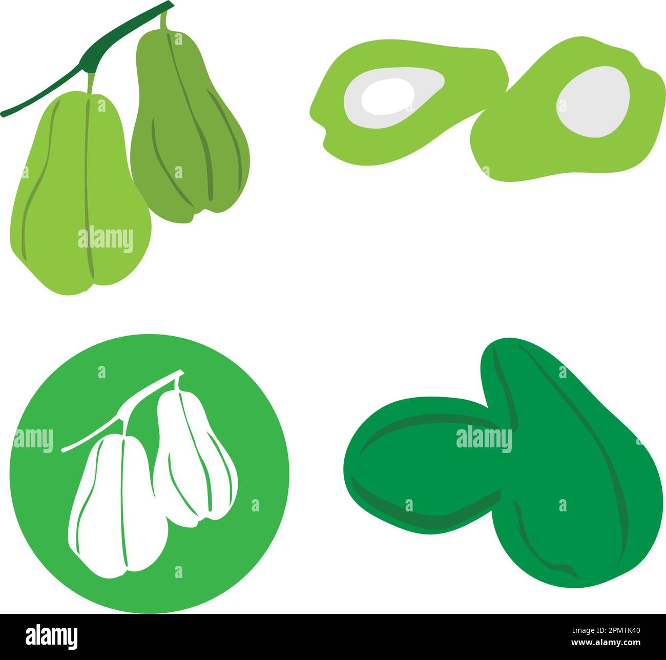 chayote fruit icon vector illustration design Stock Vector Image & Art ...