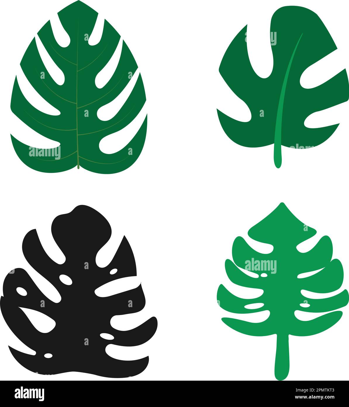 One line drawing monstera Stock Vector Images - Alamy