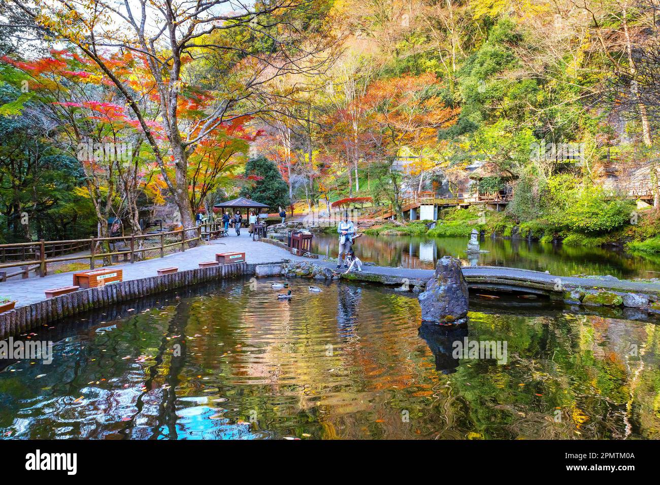 Miyazaki, Japan - Nov 24 2022: Takachiho Gorge is a narrow chasm cut ...