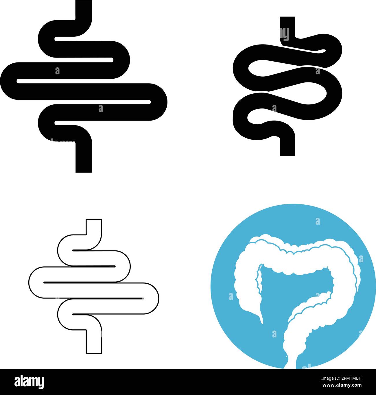 Large intestine icon vector vectors hi-res stock photography and images ...