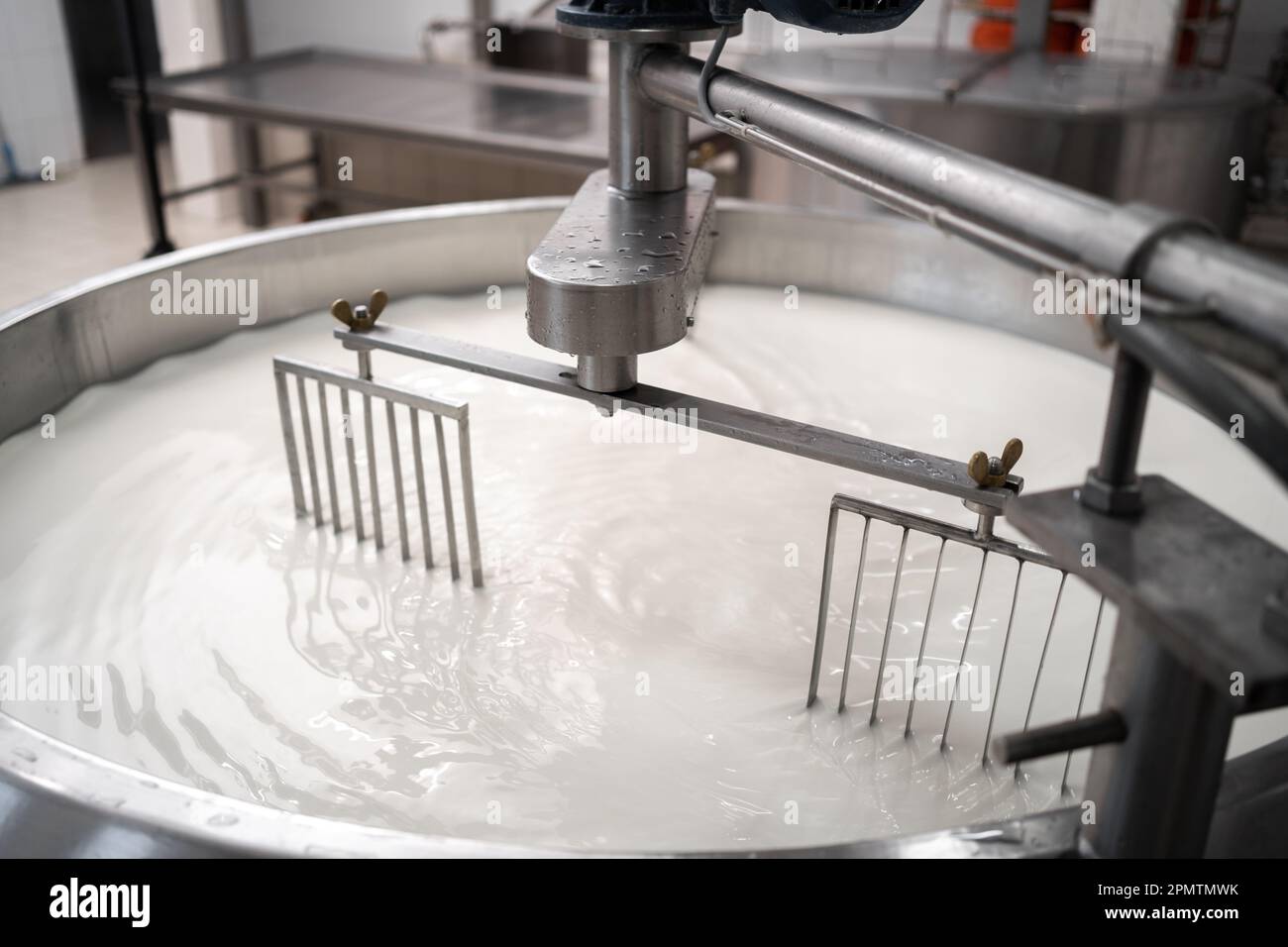 Tank full of milk in a cheese factory. Parmesan cheese production in ...