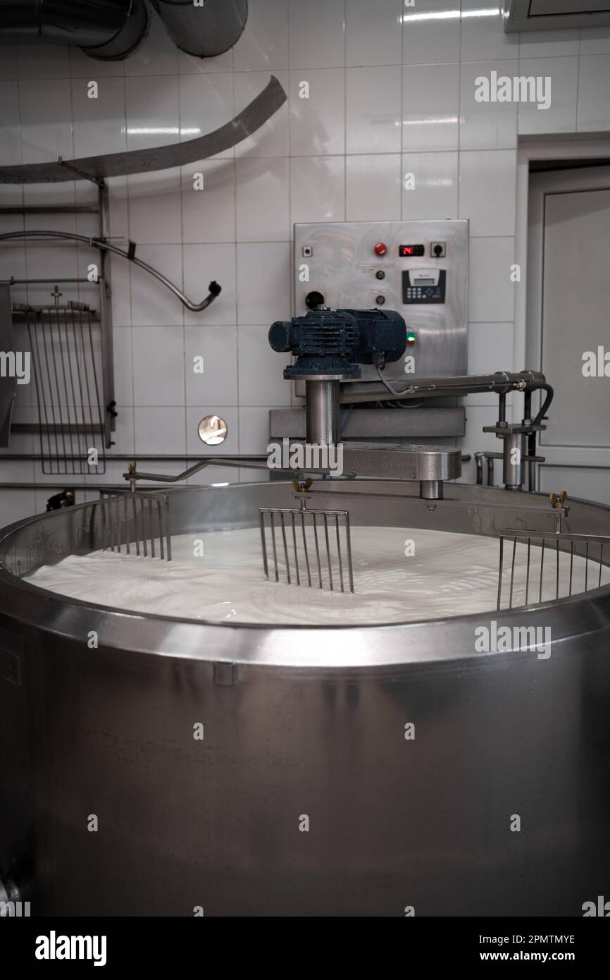 Equipment dairy plant, cheese factory. Milk heating process. Cheese ...
