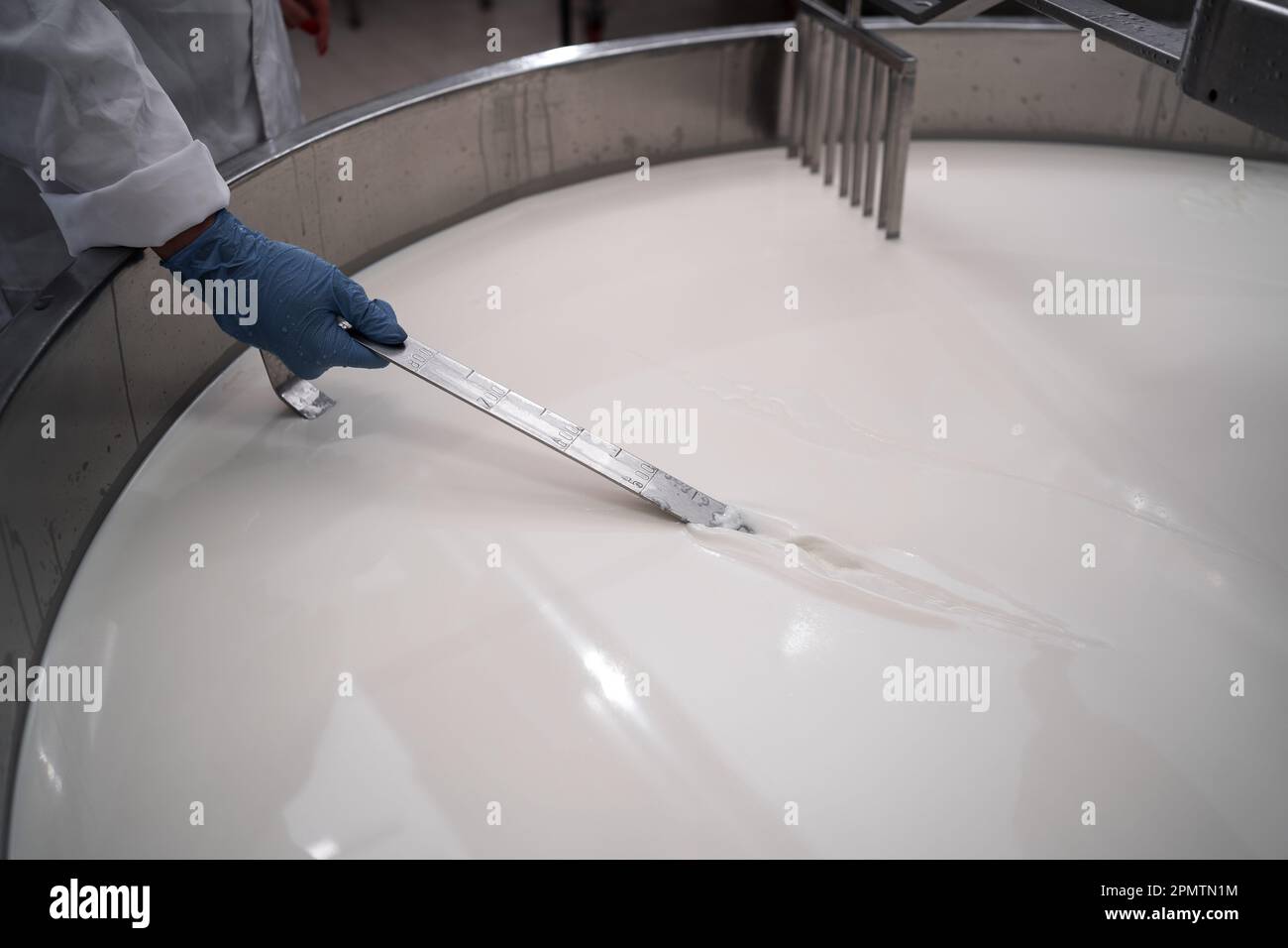 Cheese maker testing the whey and milk on factory. Cheese production ... Cheese maker testing the whey and milk on factory. Cheese production ...