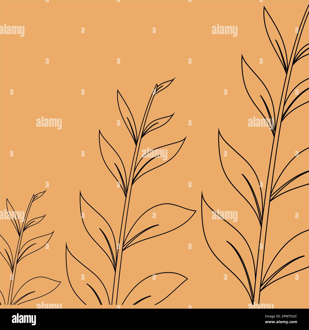Frames and backgrounds with leaves hi-res stock photography and images ...