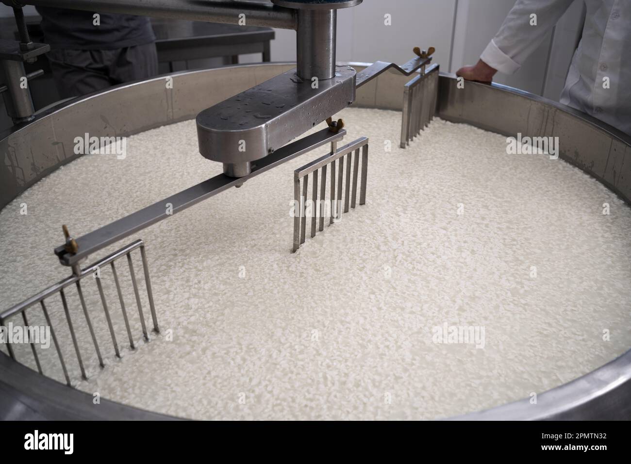 Mixing heat milk in a cheese factory in a large vat. Concept of cheese ...