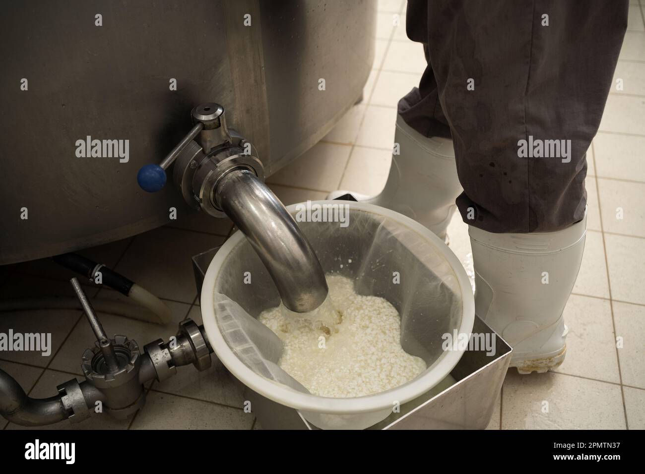 Draining and separating whey from curd at a cheese factory Stock Photo ...