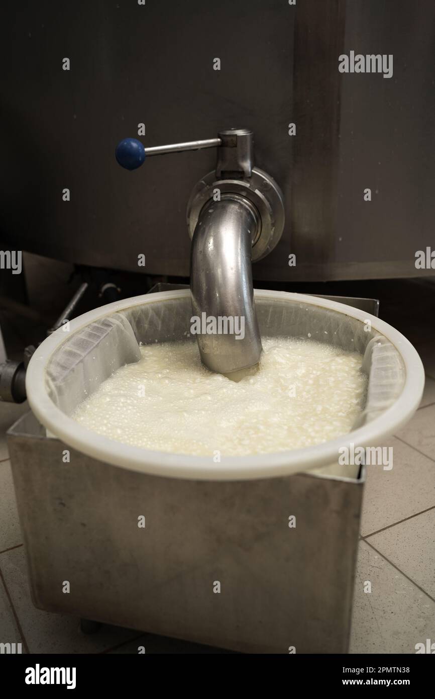 Process separating curd from the whey in dairy factory. Cheese making ...