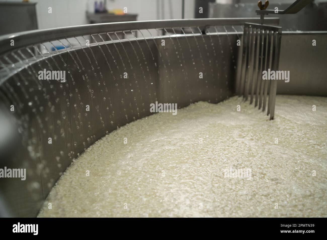 Curd and whey with hot water in tank at cheese factory. Copy space ...
