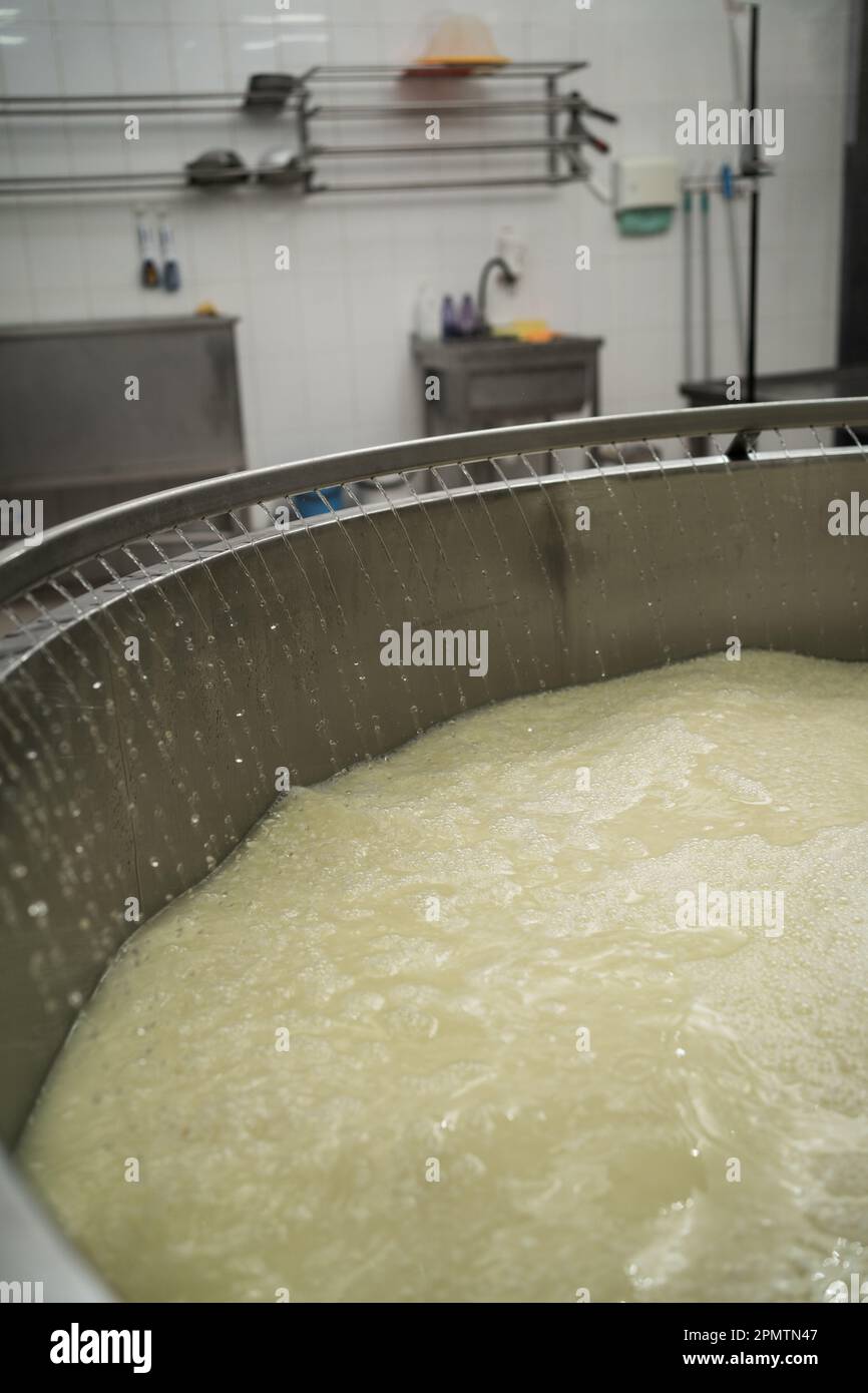 Process of producing of cheese in industry, heating milk with hot water ...
