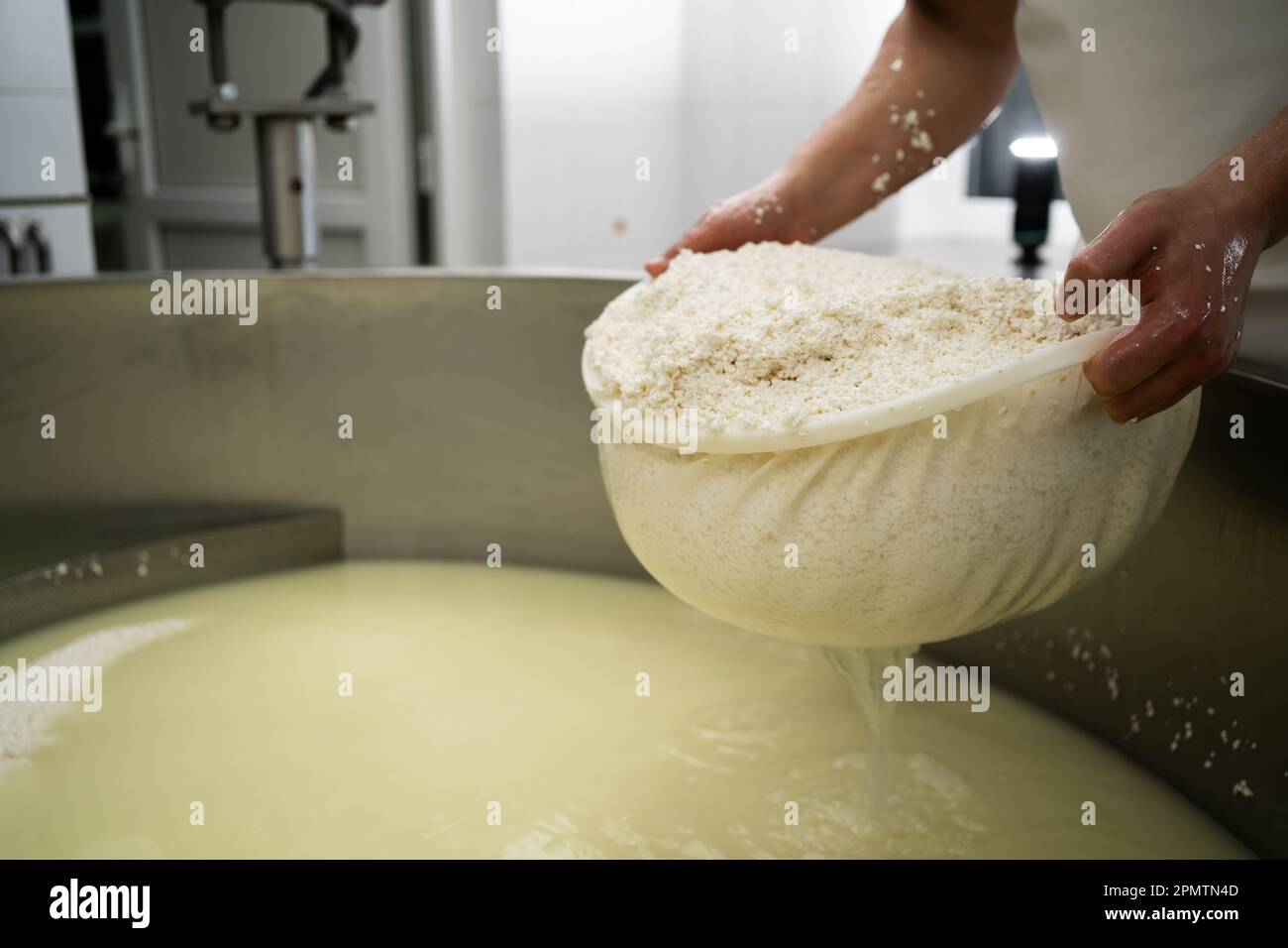 A cheesemaker prepares a form of Parmesan cheese using fresh curd ... A cheesemaker prepares a form of Parmesan cheese using fresh curd ...