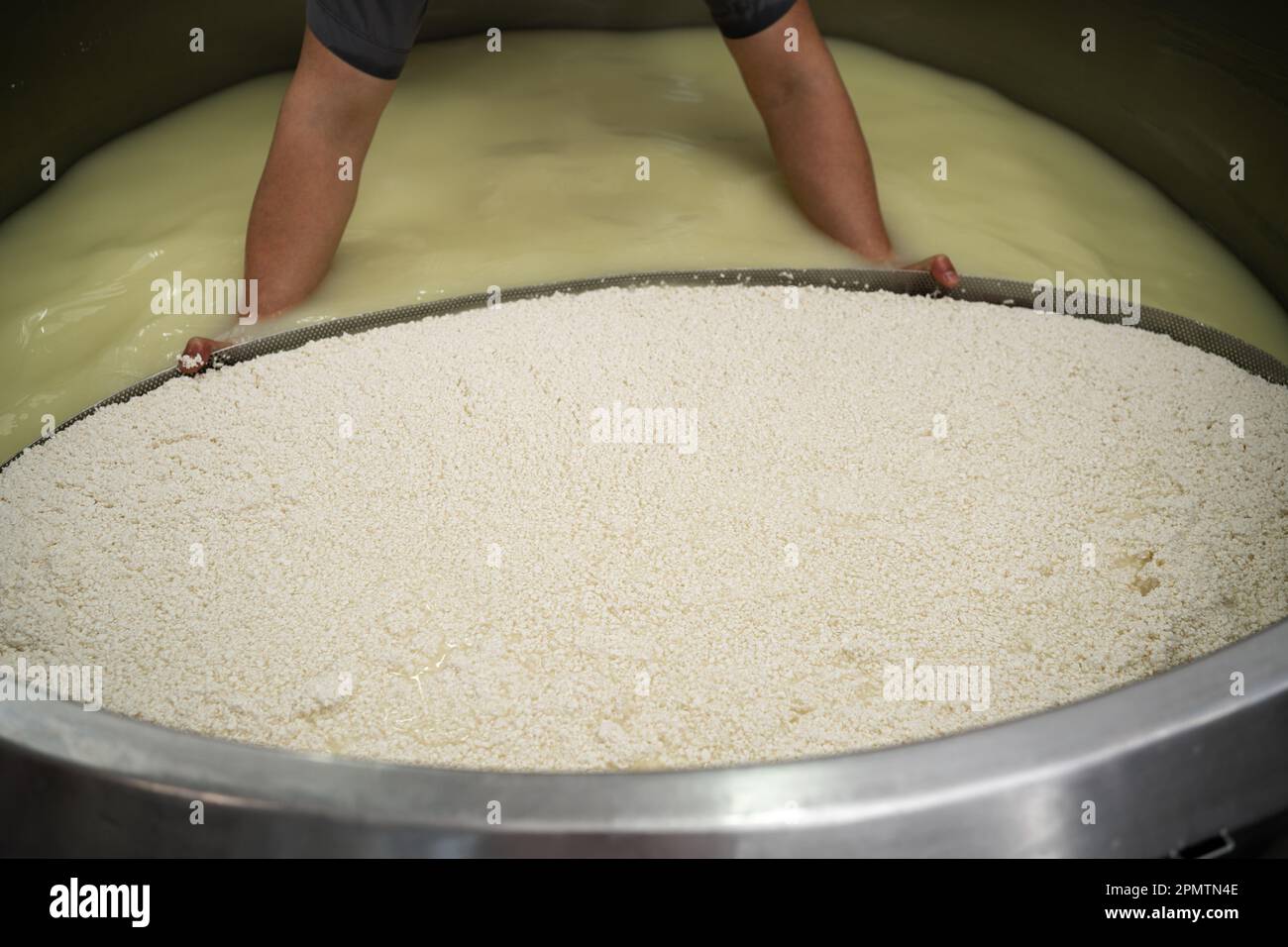 Manual worker in cheese and milk dairy production factory, part of ...