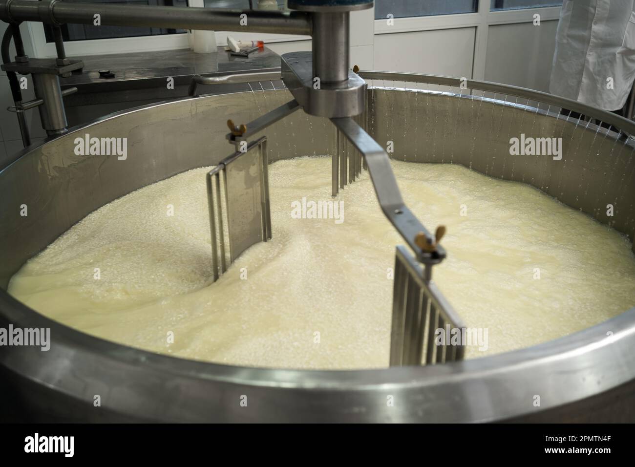 mixing the milk in a large stainless steel tanks on cheese production ...