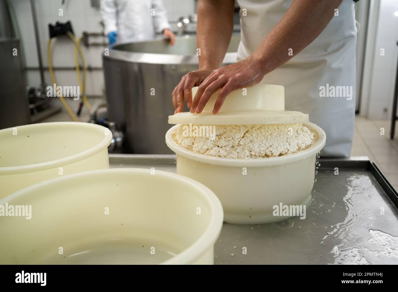 Traditional italian cheese making with fresh milk. Private small-scale ...