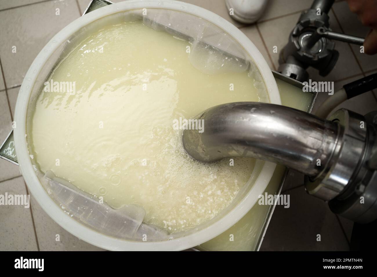 cheese and milk dairy production factory. Automated process Stock Photo ...