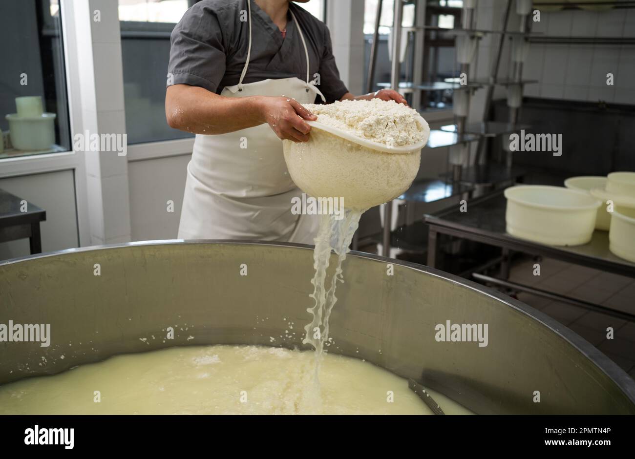 Concept of cheese production process. Draining the whey through sieve ...