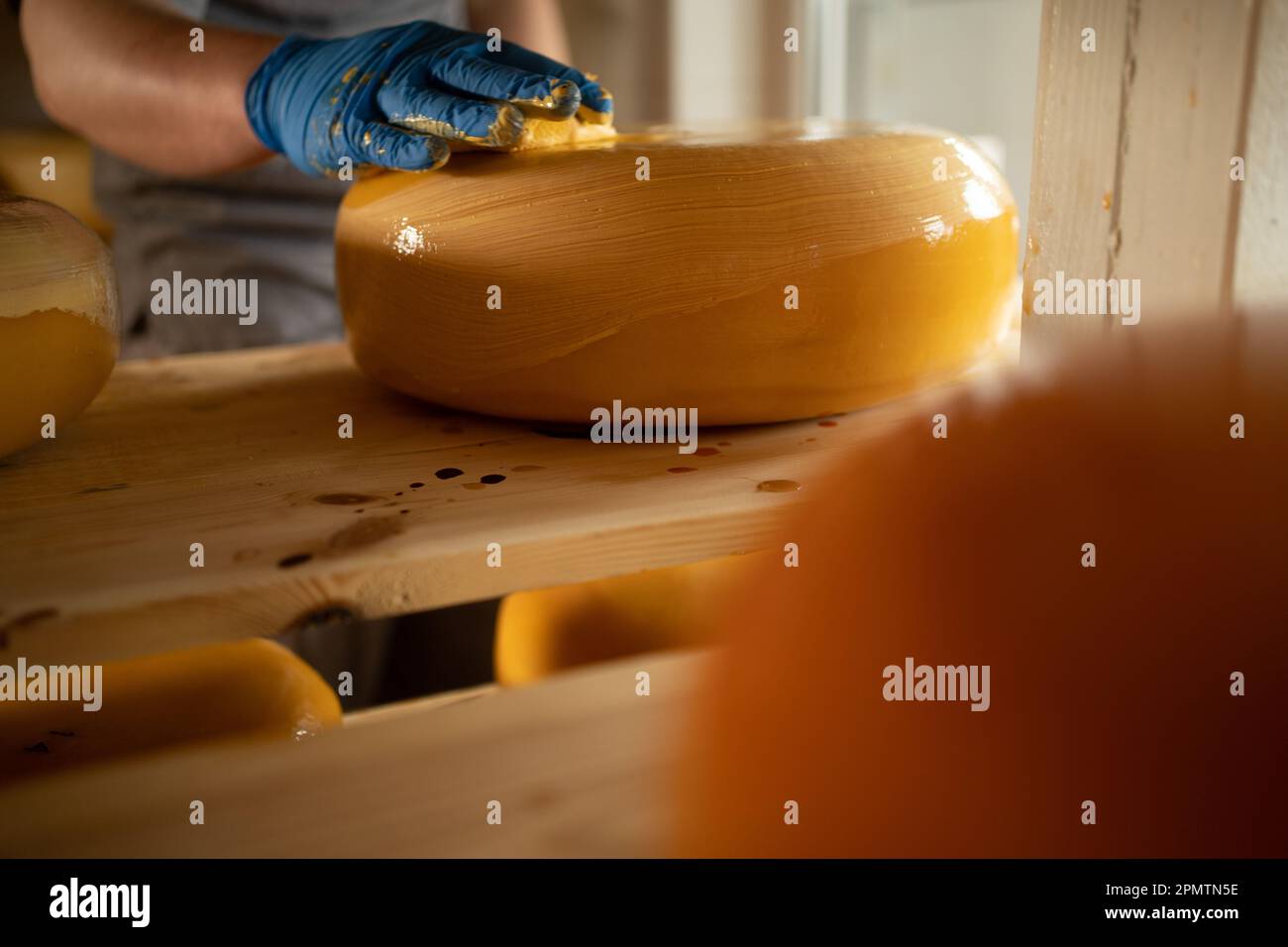 Worker coating cheese with wax in cheese maturation storage. Concept of ...