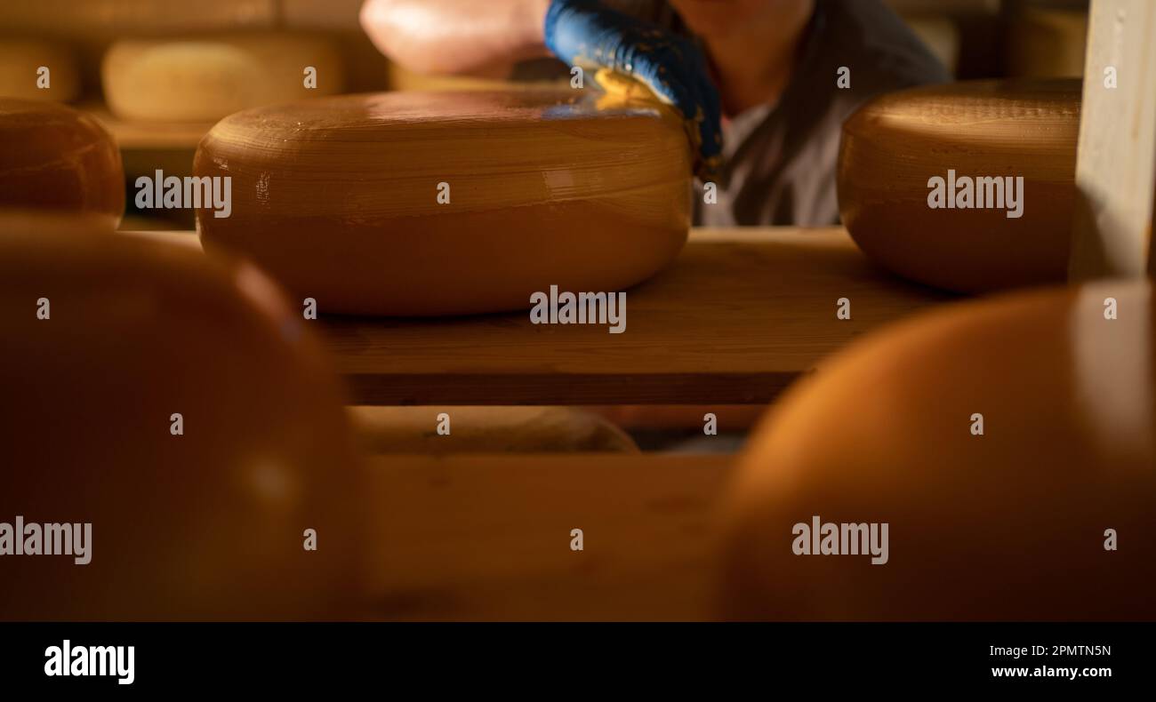 Cheesemaker coating cheese wax in hi-res stock photography and images ...