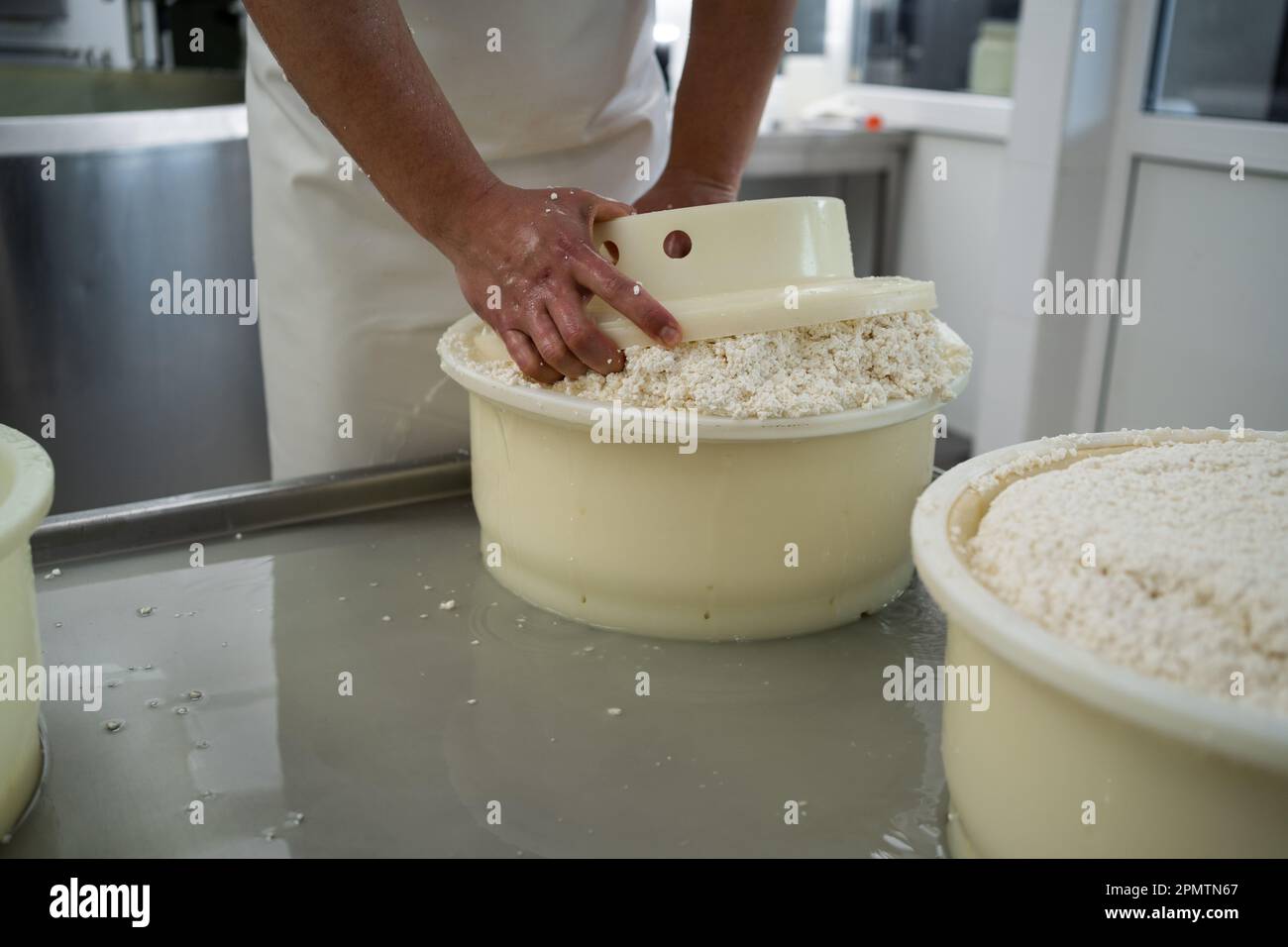 Close-up of a man cheese maker forming cheese into the plastic molds at ...