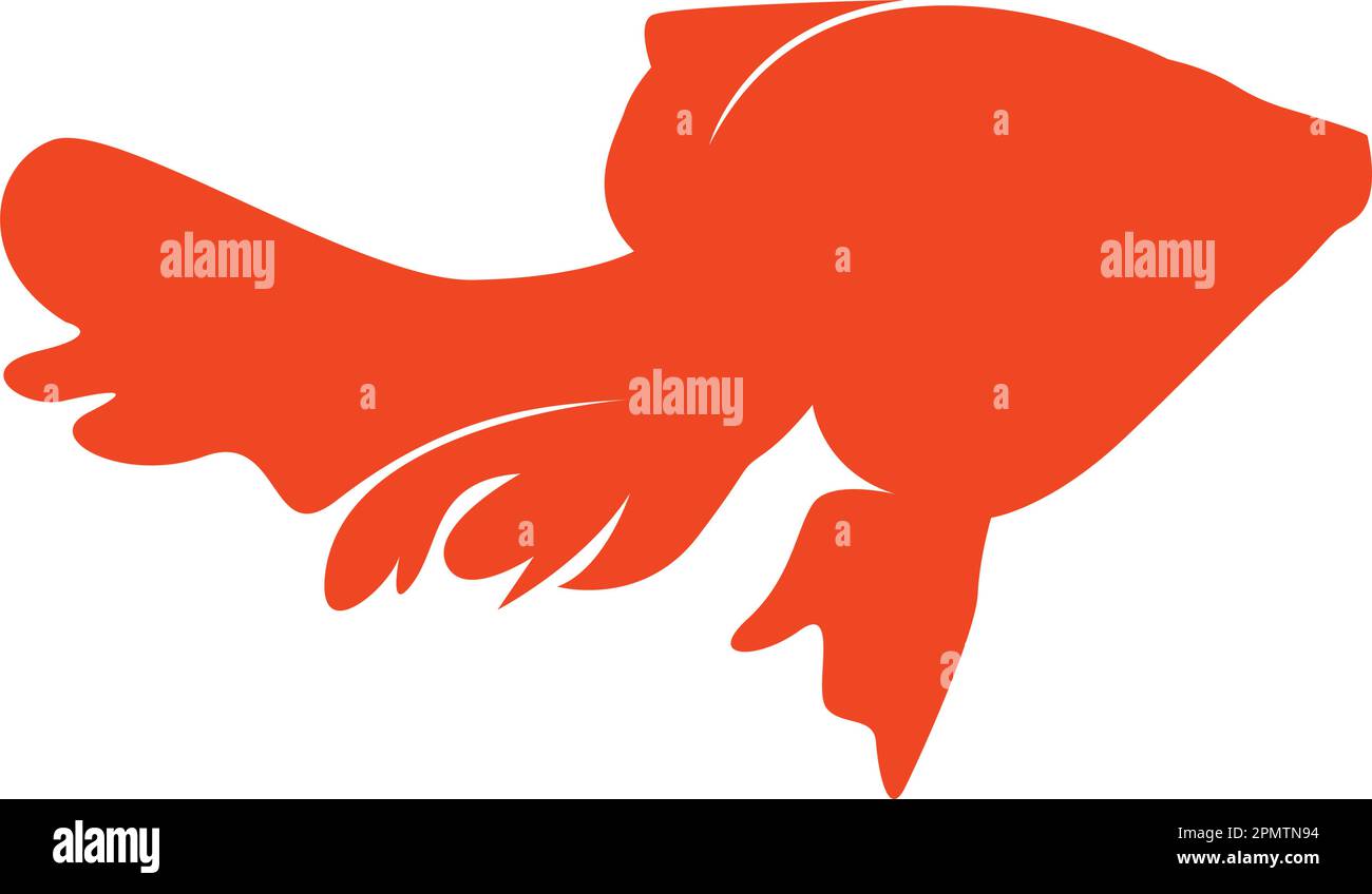 goldfish icon vector illustration design Stock Vector Image & Art - Alamy