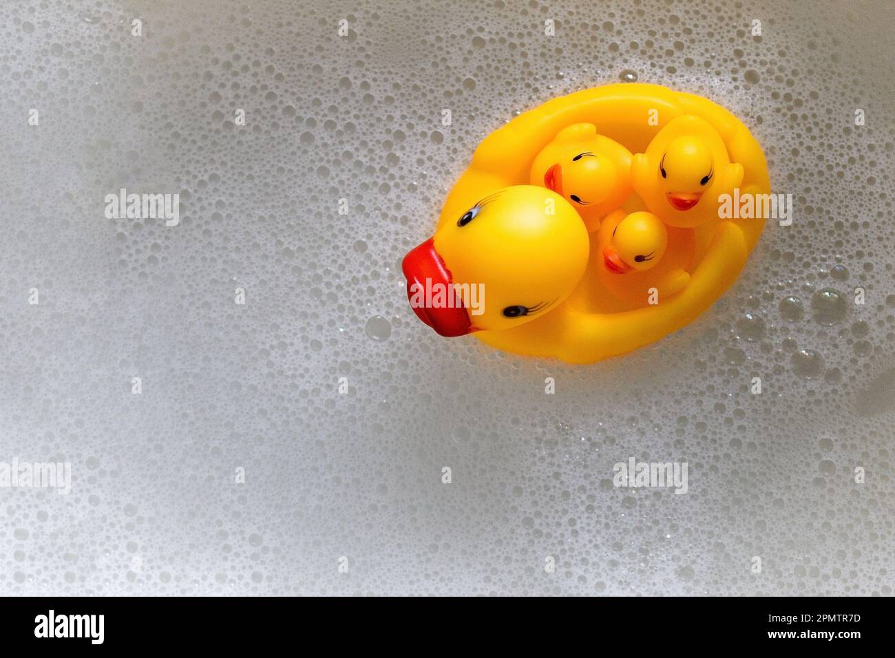 a rubber duck with three ducklings swims in the foam. View from above Stock Photo - Alamy