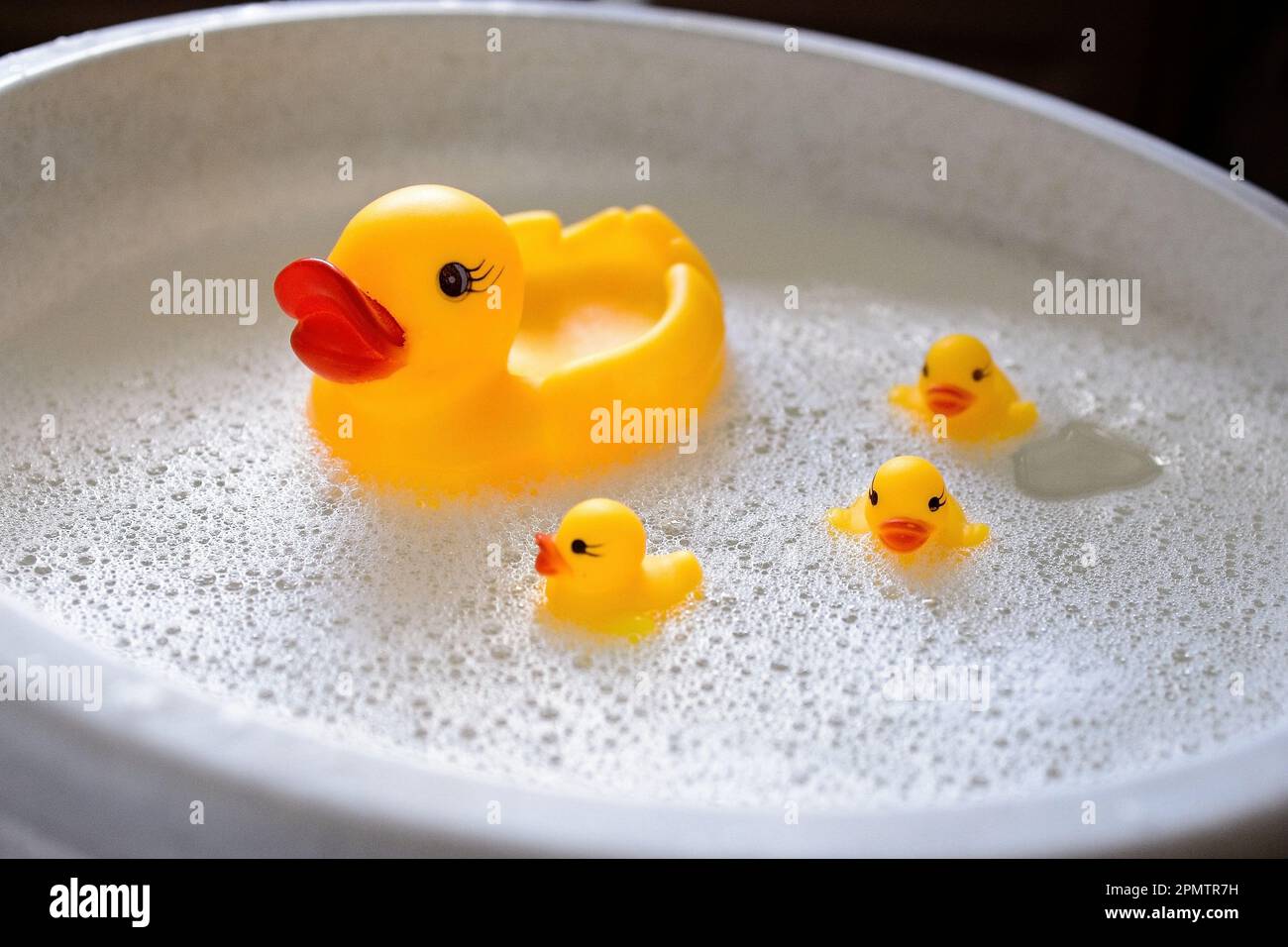 a rubber duck with three ducklings swims in the foam. View from above Stock Photo - Alamy