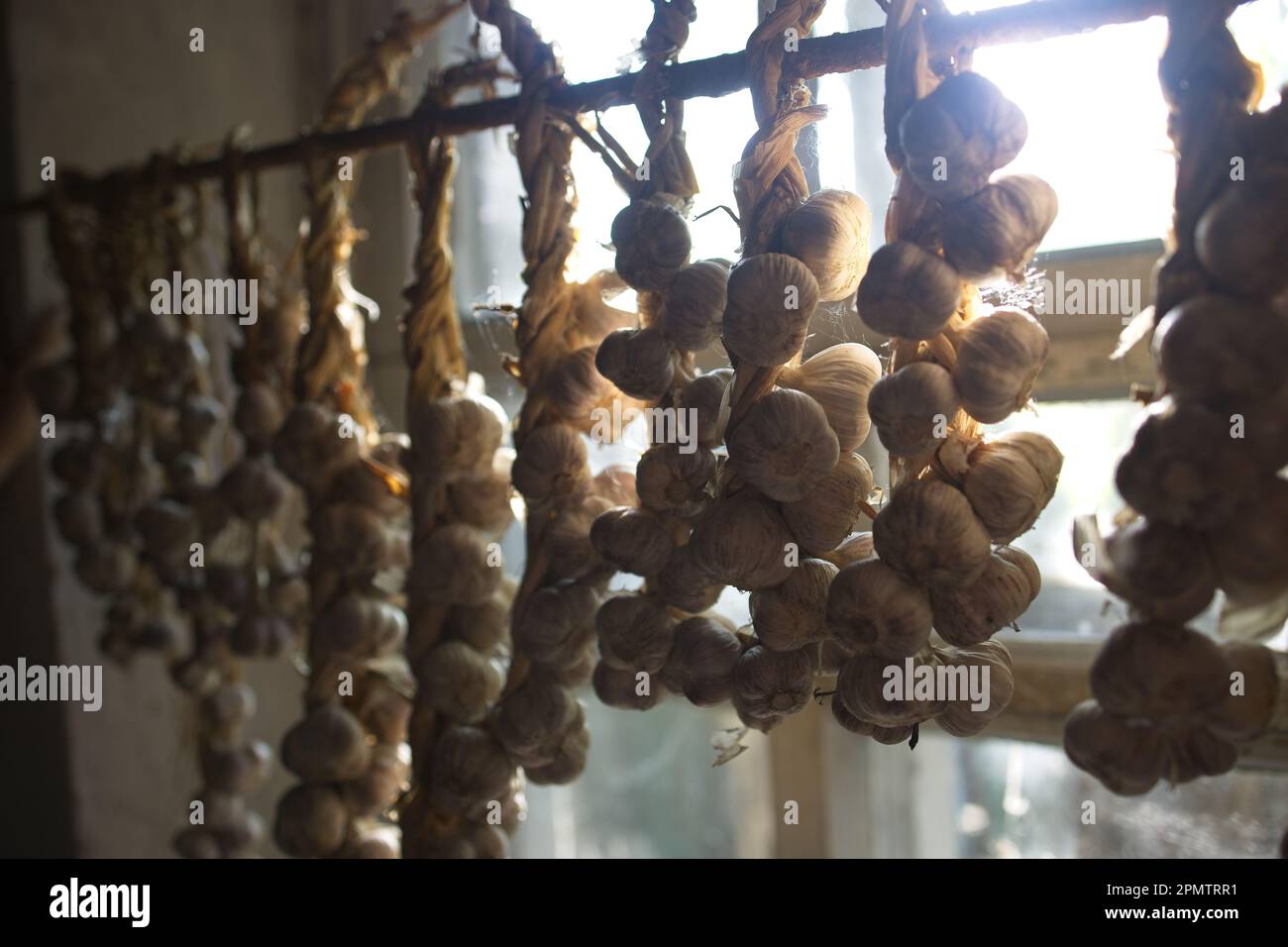 Garlic capital hi-res stock photography and images - Alamy