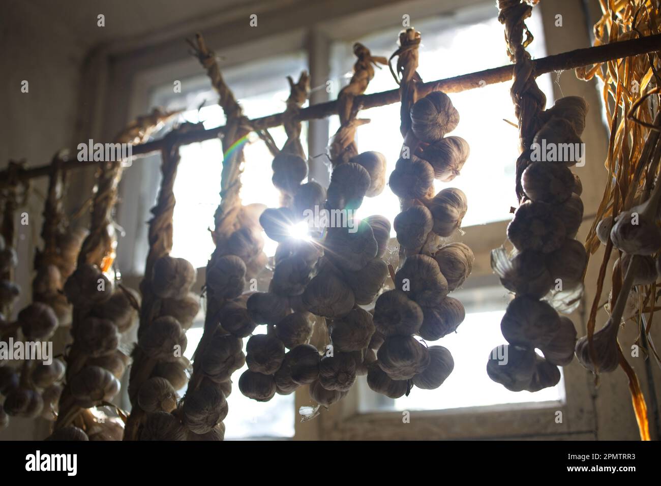braided garlic hanging from the window Stock Photo - Alamy