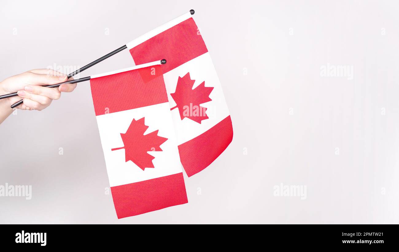 Hand proudly waving the national flag of Canada. Canada day, vote Stock ...