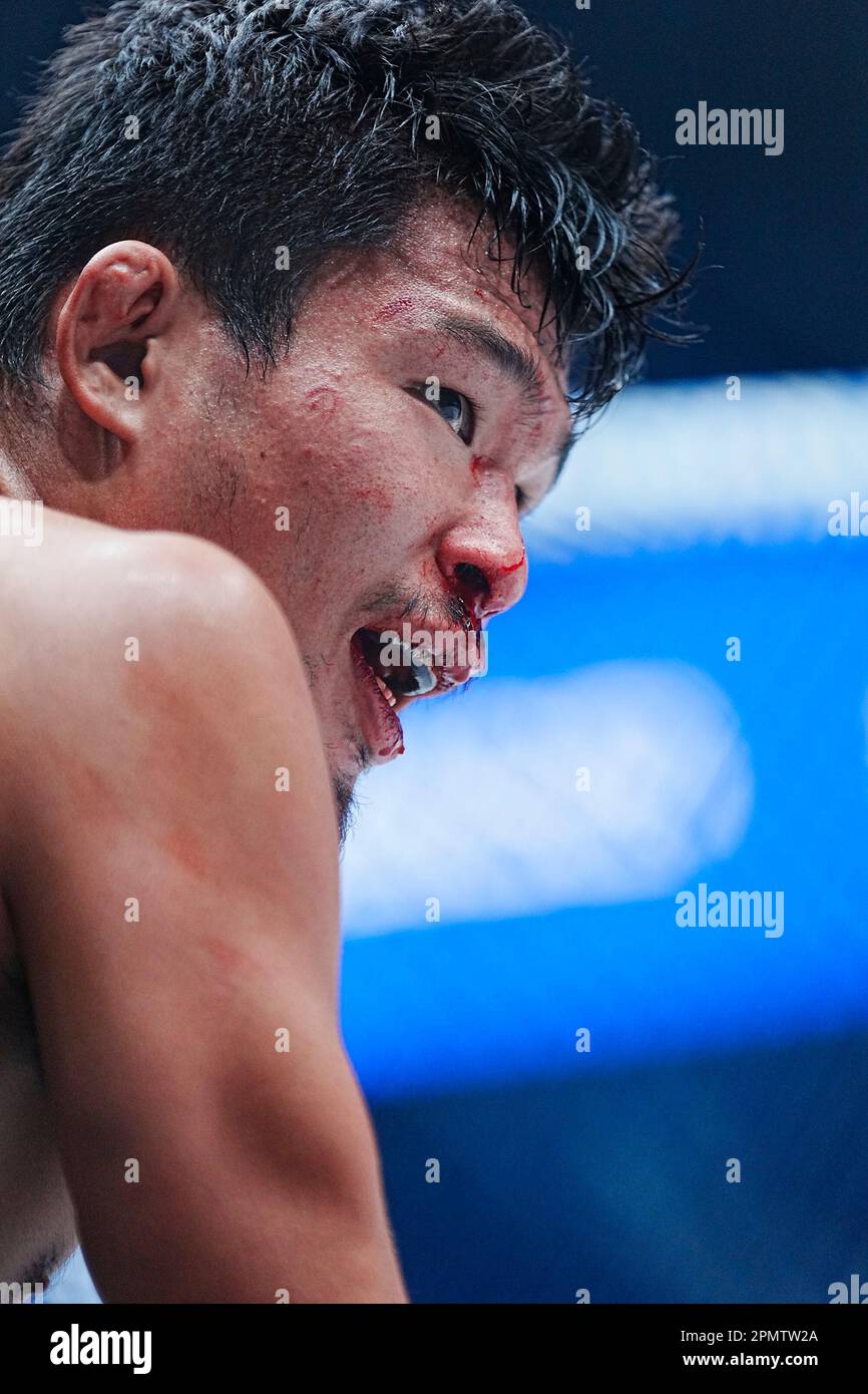 Nishikawa hi-res stock photography and images - Alamy