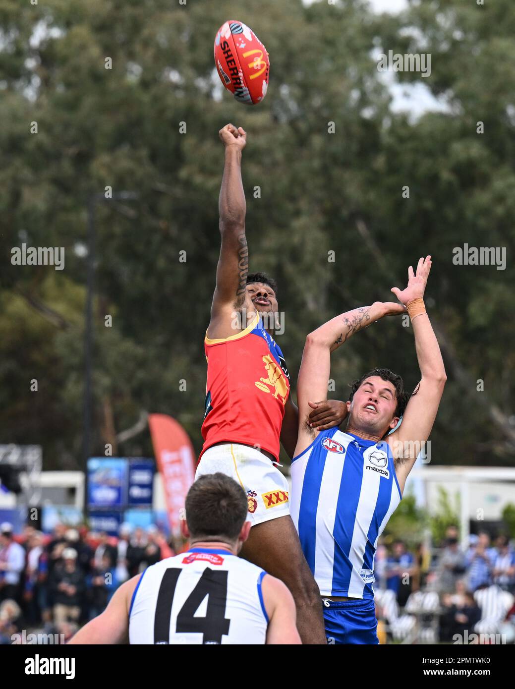 Keidean Coleman of Brisbane makes a spoil during the AFL Round 5 match ...