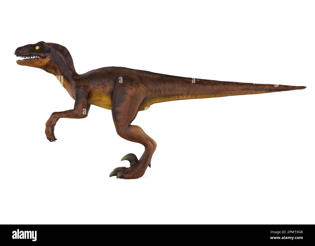 Velociraptor Dinosaurs Isolated Stock Photo - Alamy